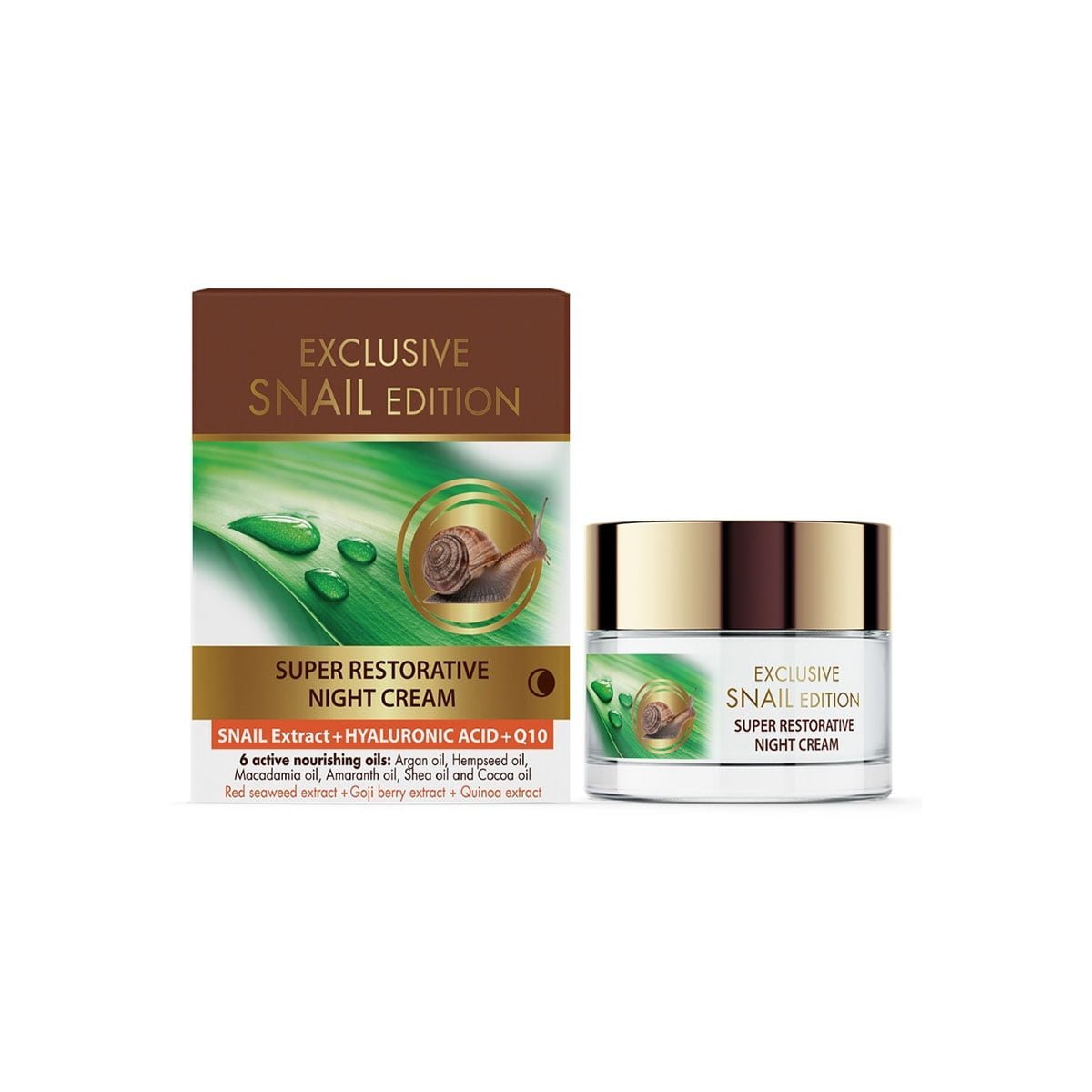 Restorative Night Cream with Snail Extract – Intensive Anti-Aging Care
